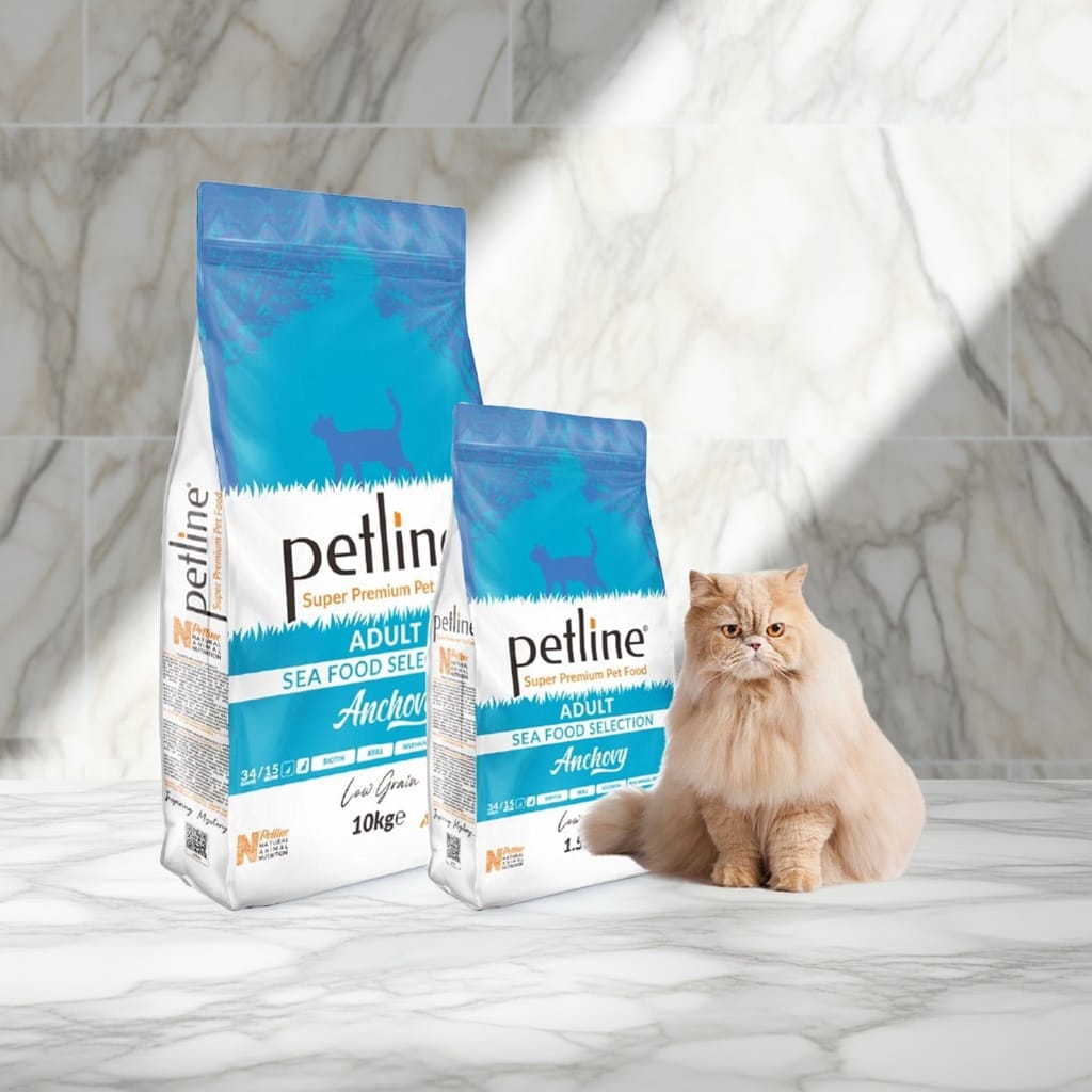 Petline Cat Food with Anchovy - Reem Pet Store