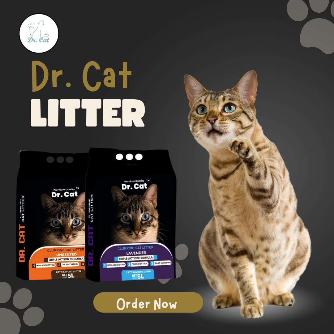 Dr Cat Clumping Cat Litter - Reem Pet Store